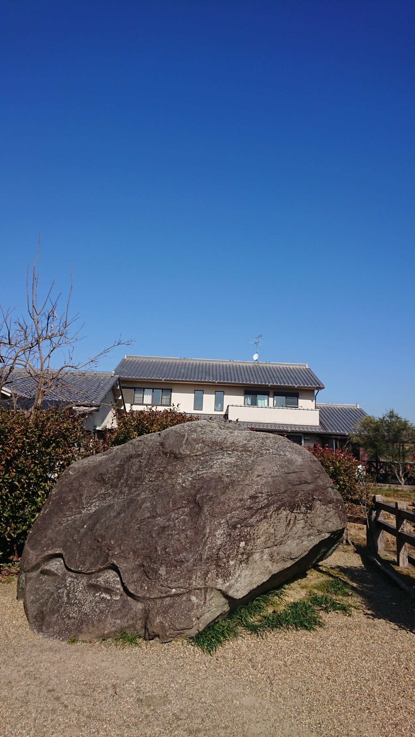 Asuka Village running – 定年男子のランとマネー