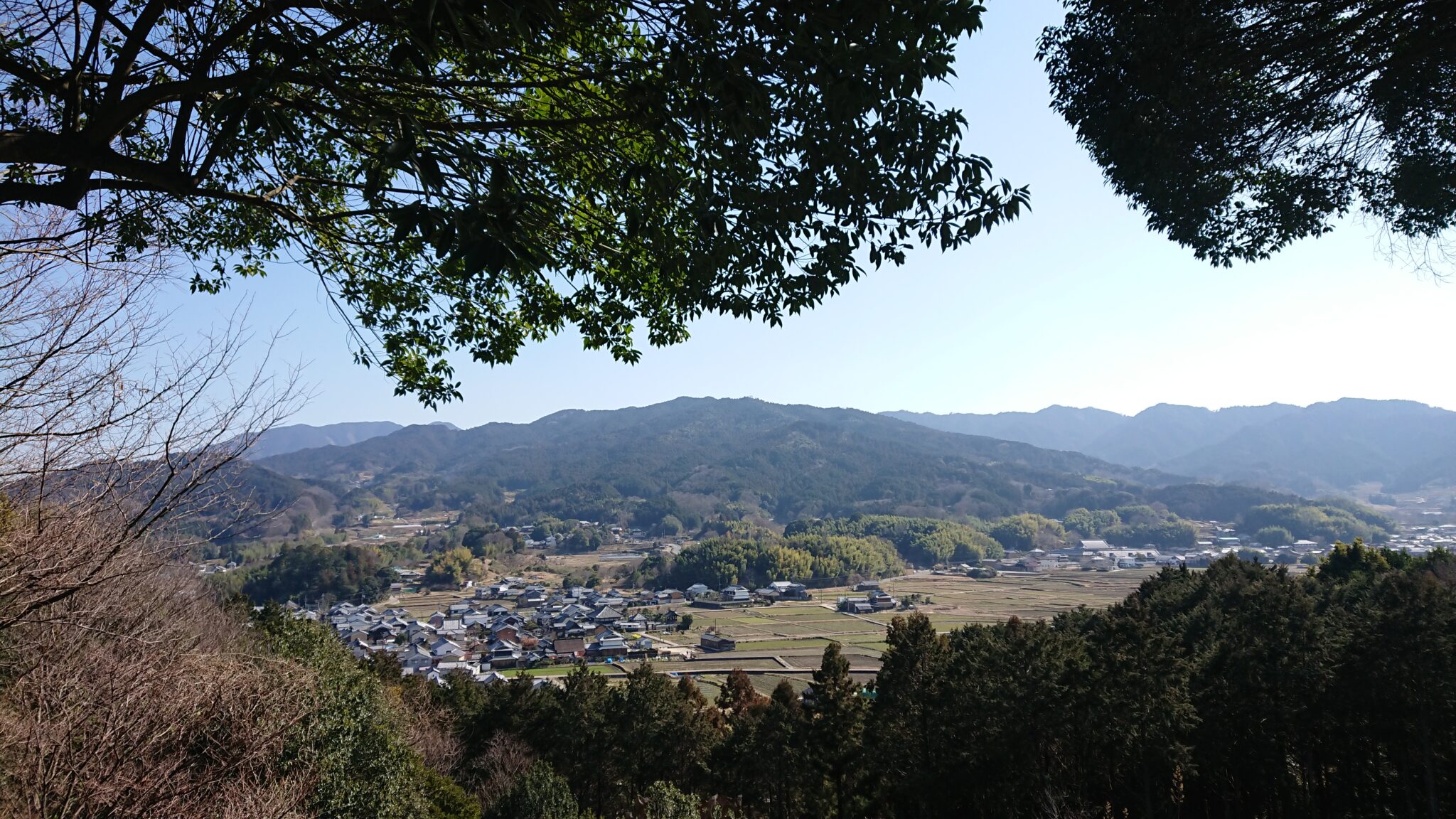 Asuka Village running – 定年男子のランとマネー